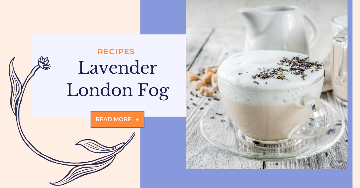Lavender London Fog - A Recipe from Methow Valley Lavender - Carlton ...